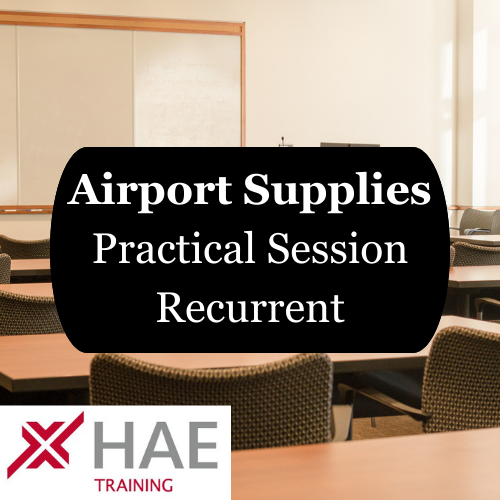 Airport Security - TSA Group