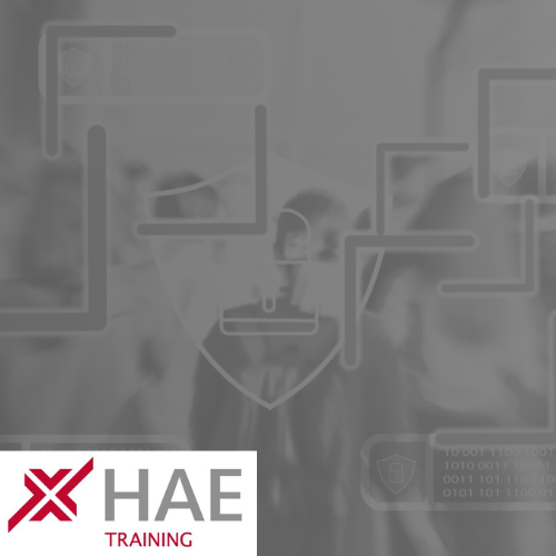 Airport Security - TSA Group